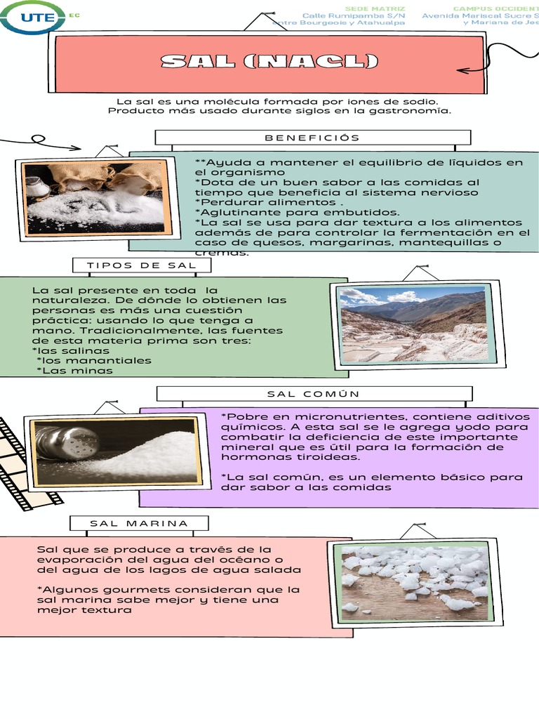 Gusñay - Estefania.La Sal | PDF | sal | Materiales