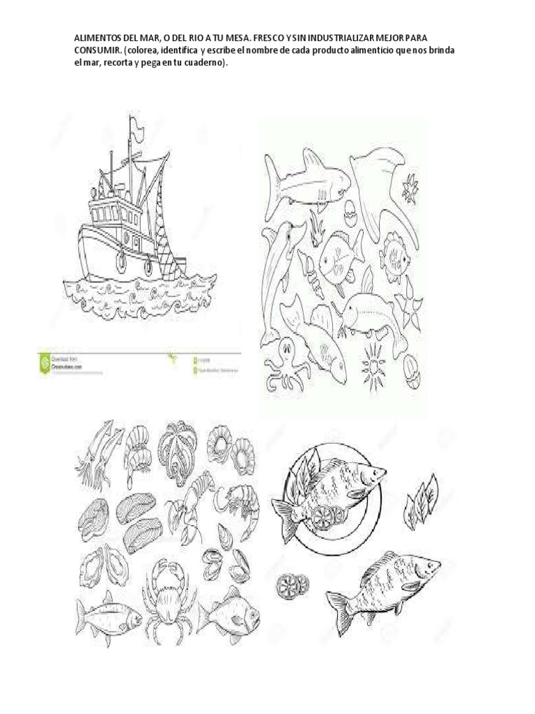 Alimentos del Mar: Frescos y Naturales | PDF | Hogar, jardinería y ...