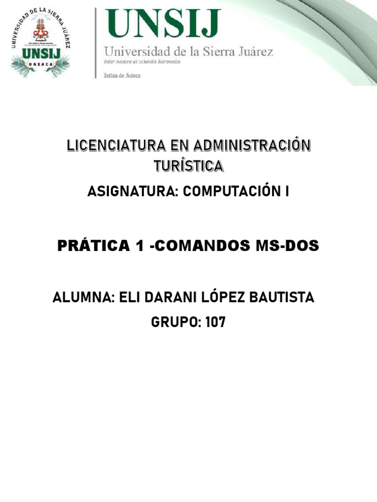 Comandos MS-DOS Práctica 1 | PDF