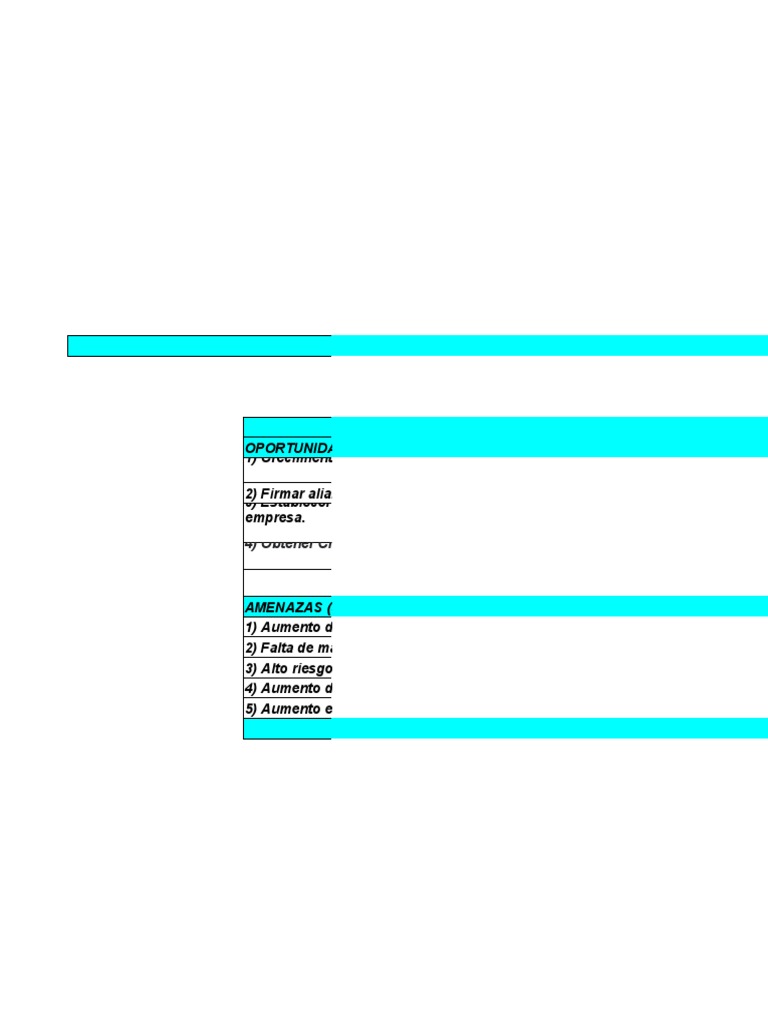 Matriz Efe y Efi | PDF | Marketing | Procesos de negocio