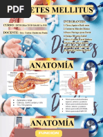 Escalas para Pancreatitis | PDF | Órgano (anatomía) | Enfermedades y trastornos humanos
