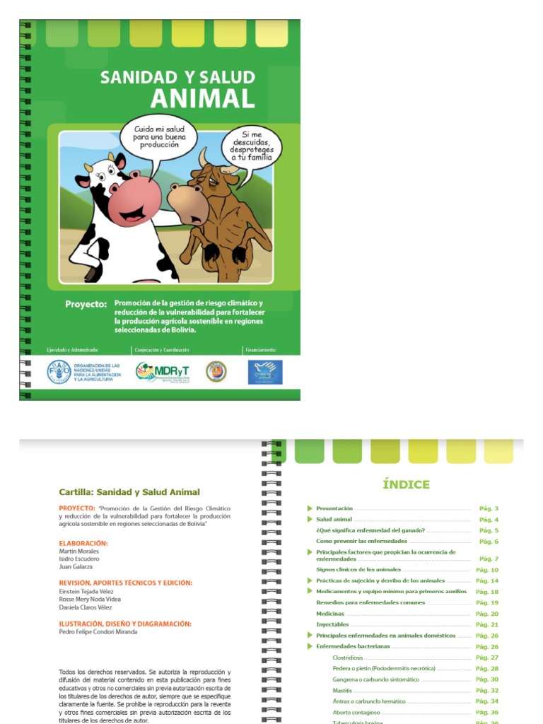 Sanidad Animal | PDF