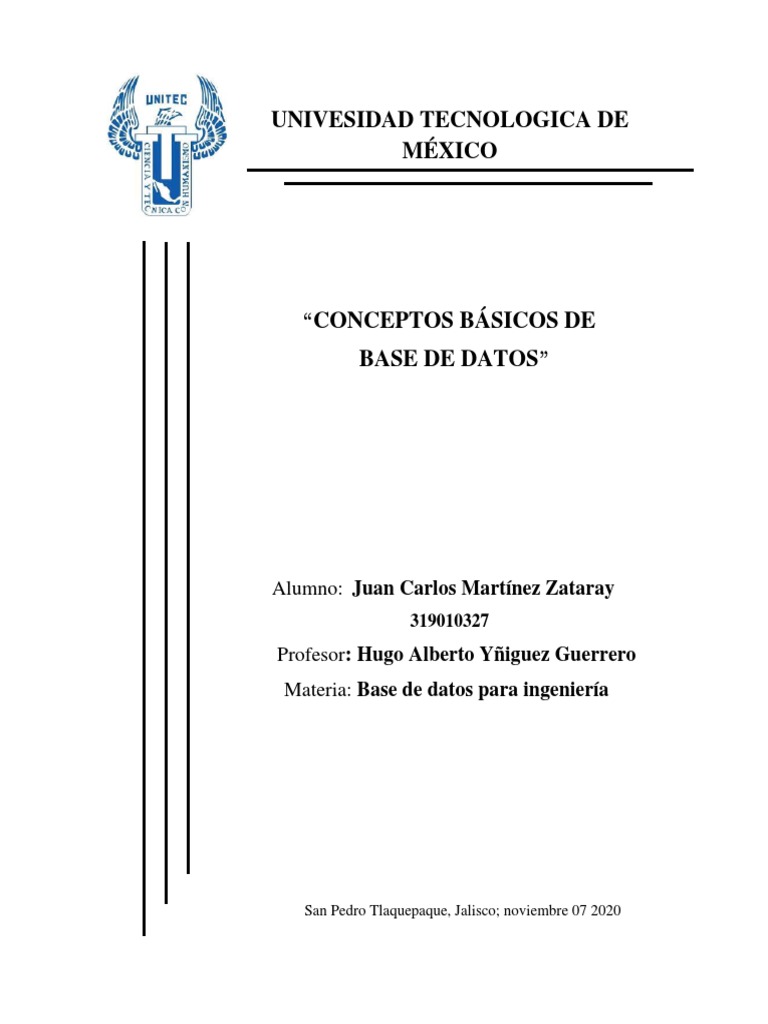 Conceptos Basicos de Base de Datos | PDF | Bases de datos | Tipo de datos