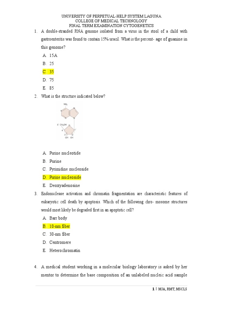 Cytogenetics Final Exam | PDF | Dna | Mitosis