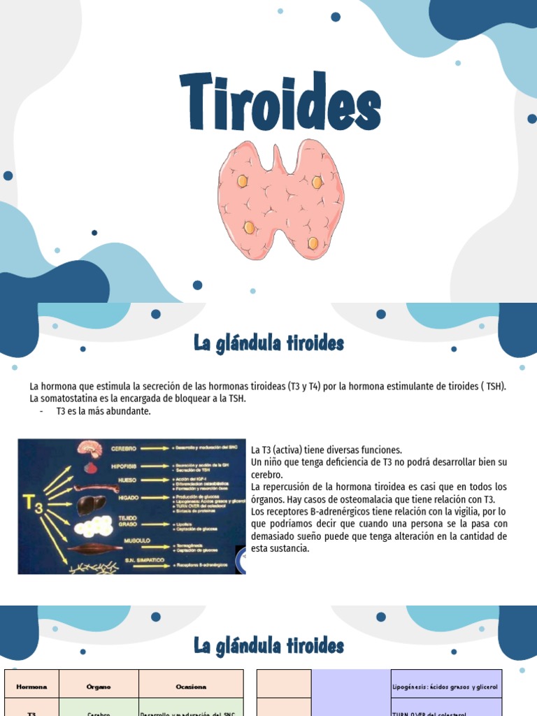 Patología de Tiroides | PDF | Tiroides | Hormona estimulante de la tiroides