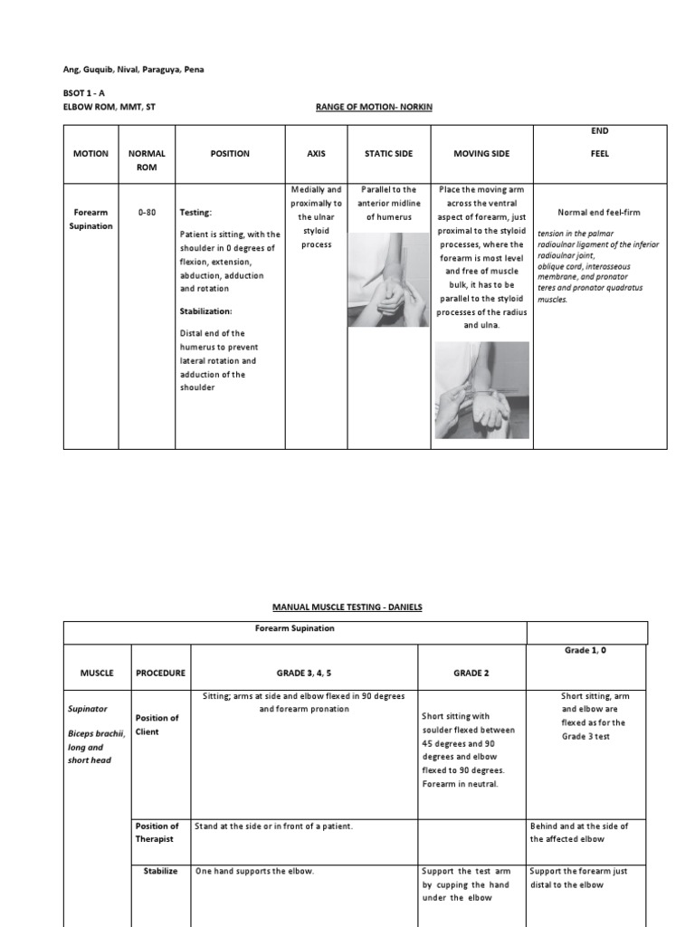 Forearm Supination Rom MMT | PDF