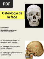 6- Anatomie des os de la face | PDF | Anatomie humaine | Appareil ...