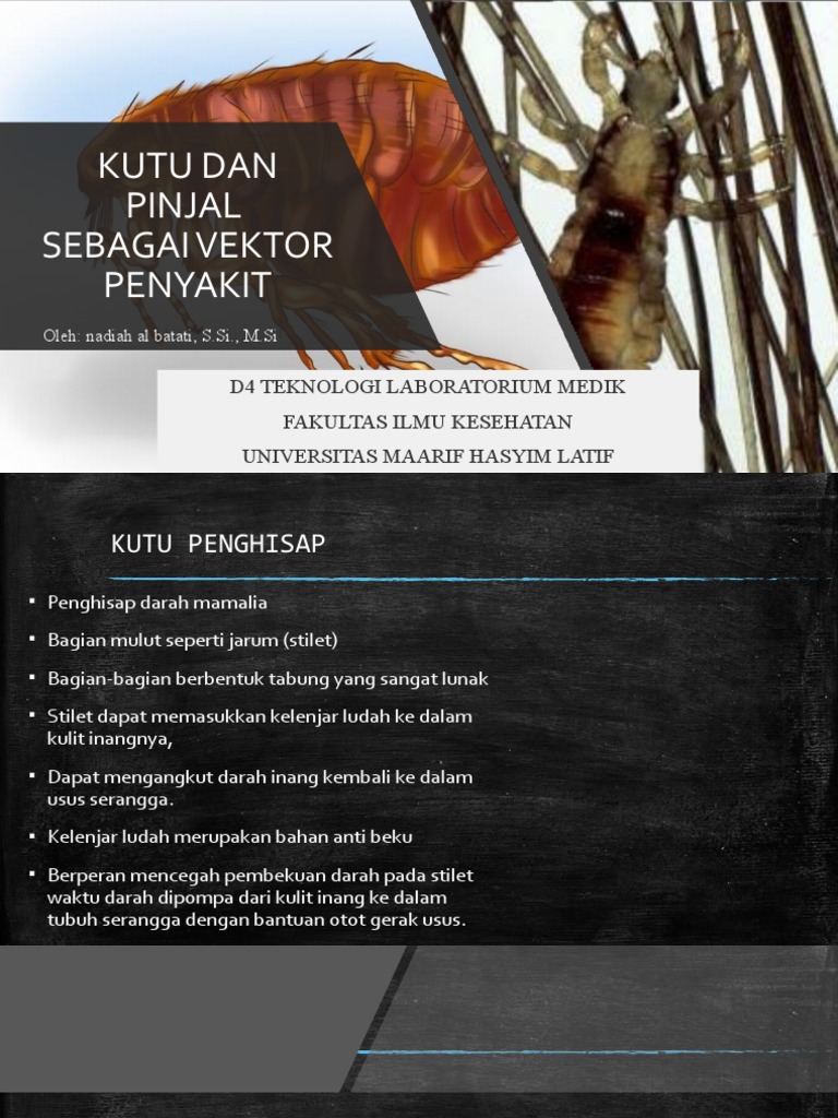 Kutu dan Pinjal sebagai Vektor Penyakit | PDF