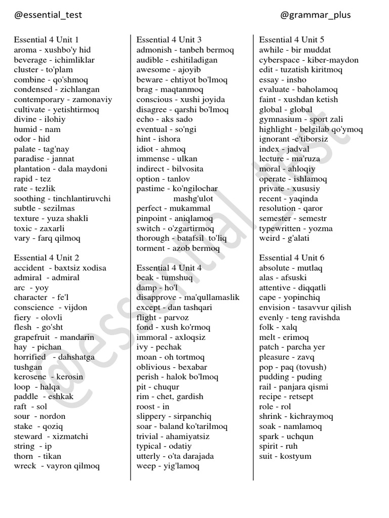Essential 4 Tarjima | PDF