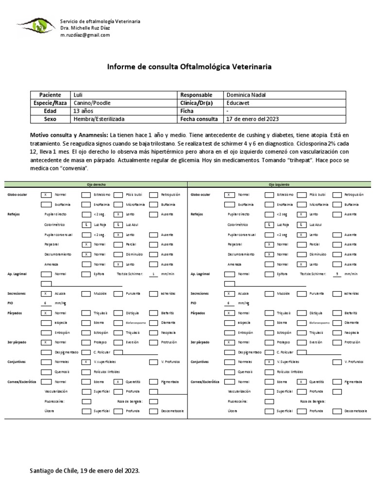 Informe de Examen Oftálmico Luli | PDF | Ojo humano | Oftalmología