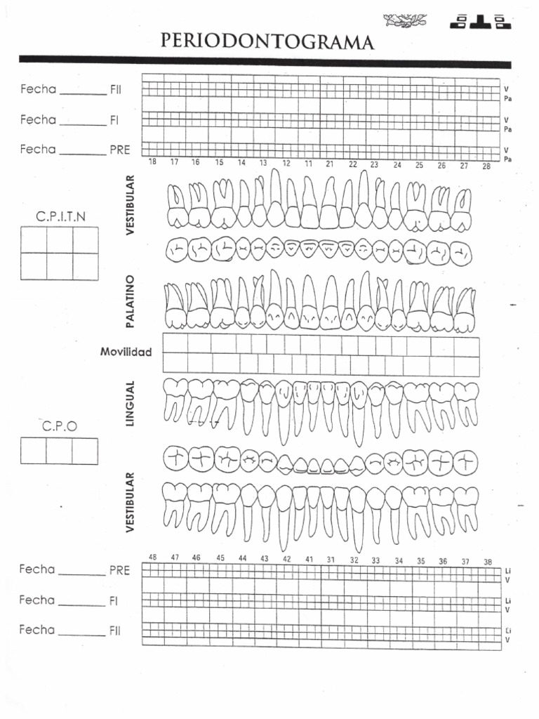 Periodontograma PDF | PDF