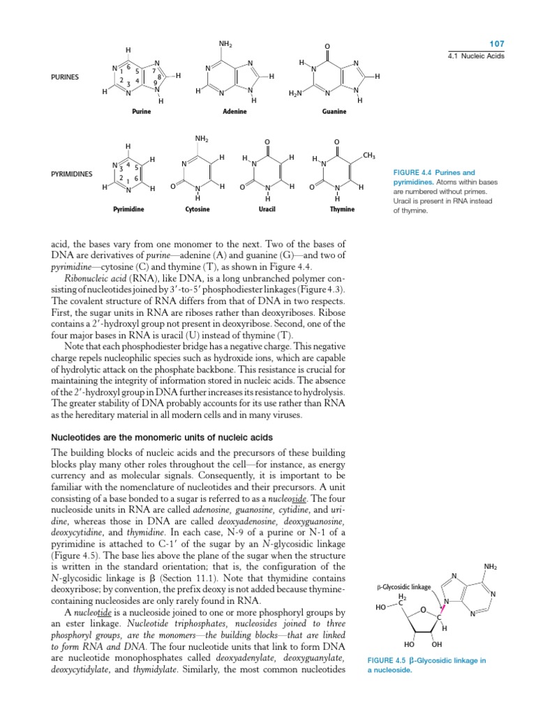 Jeremy M. Berg, John L. Tymoczko, Gregory J. Gatto, Lubert Stryer ...