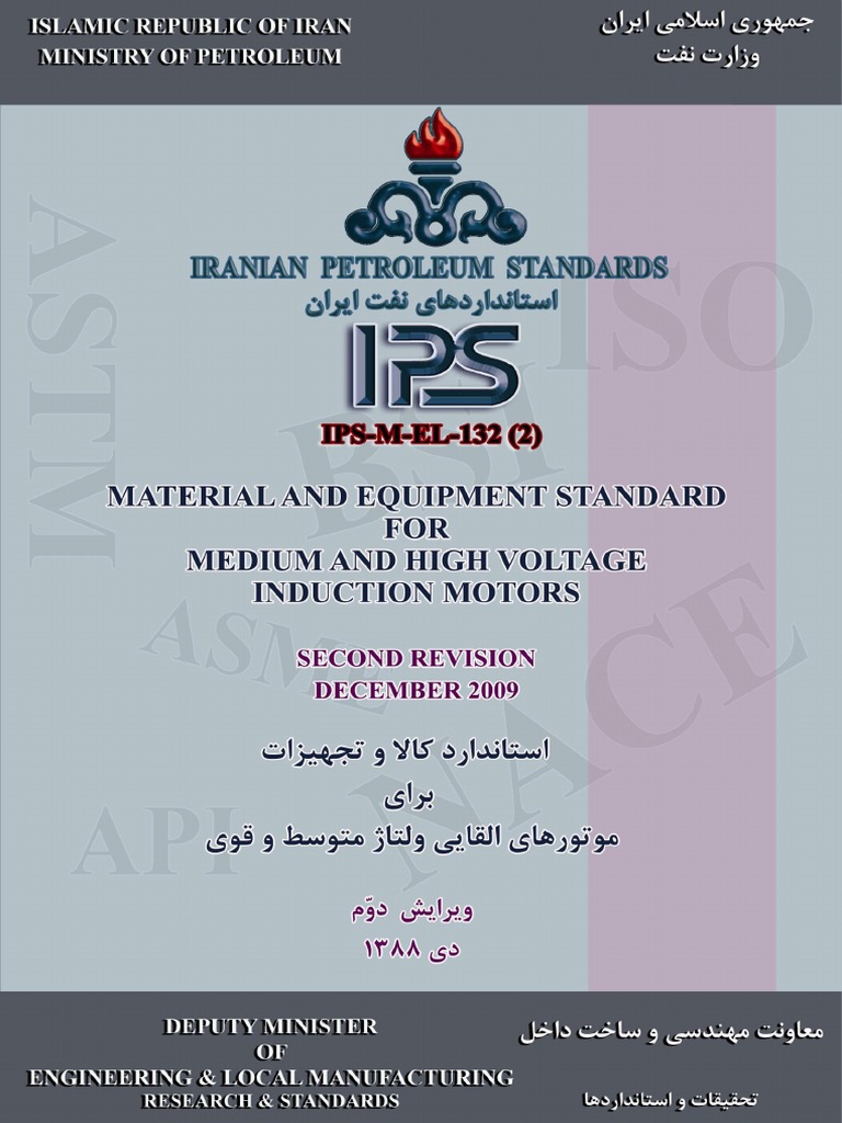 IPS Standards for Induction Motors | PDF | Electromagnetism ...