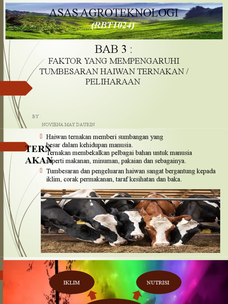Bab-3 Faktor Yang Mempengaruhi Tumbesaran Haiwan Ternakan | PDF