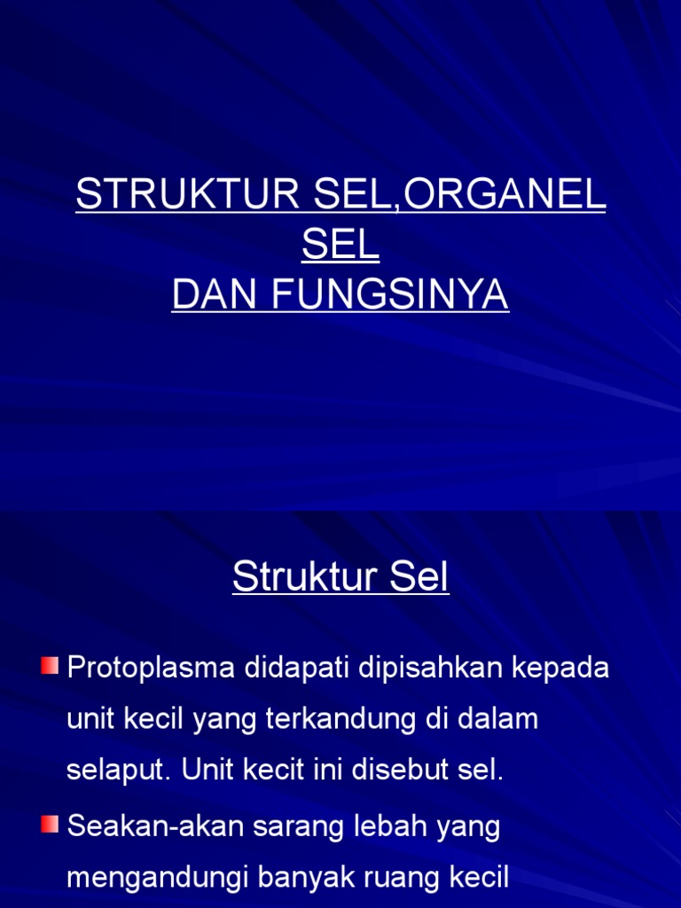 Bab-13 Sel Dan Tisu Tumbuhan | PDF