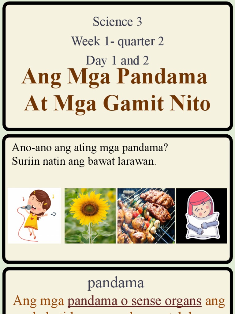 Science Week 1&2 (Quarter 2) | PDF