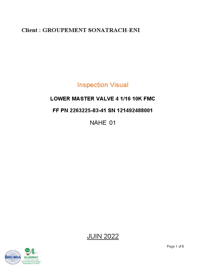 Rapport D'inspection Lower Master Valve | PDF