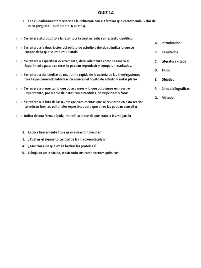 QUIZ 1B Macromoléculas | PDF