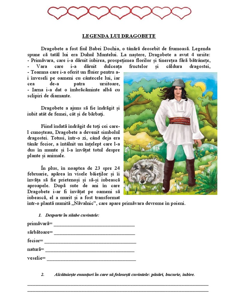 Fisa Ciclul Primar | PDF