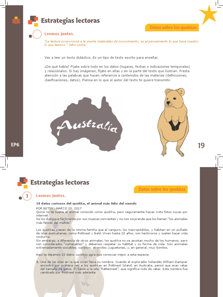 10 Datos Curiosos sobre los Quokkas | PDF | Marsupiales de Australia