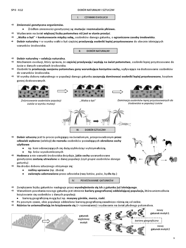 SP 8 - II.12 - Dobór Naturalny I Sztuczny - Notatki MC | PDF