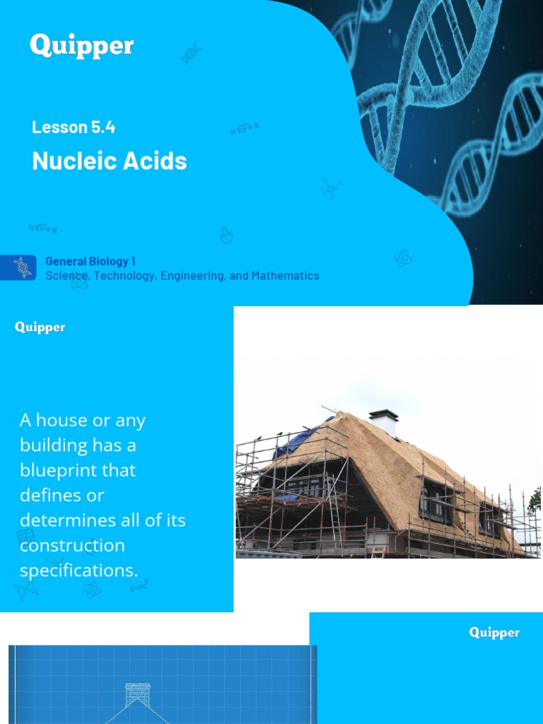 Quipper Nucleic Acid | PDF | Nucleic Acids | Nucleotides