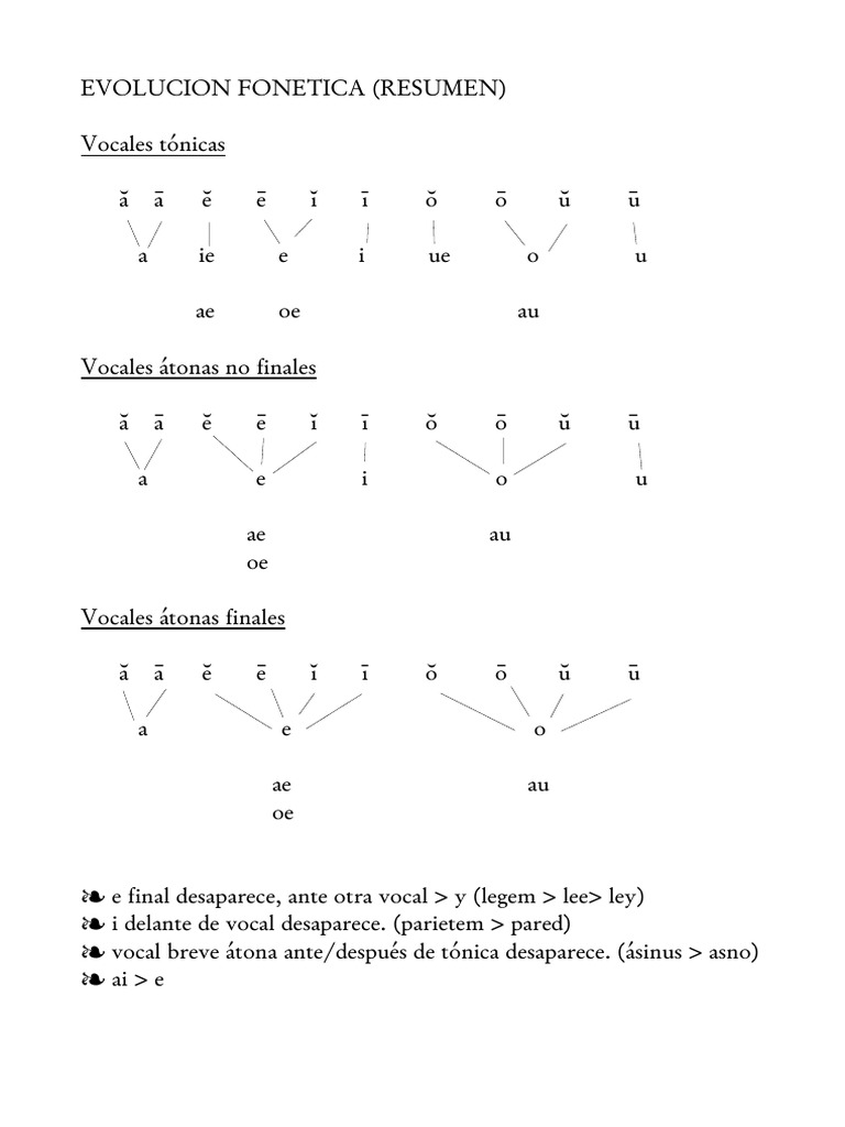 Evolucion Fonetica Pdf Lingüística Fonética