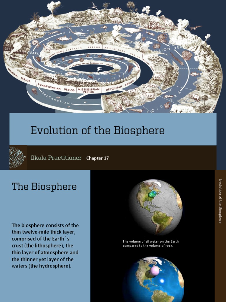 2 Chapter17 Evolution of The Biosphere | PDF | Earth | Atmosphere