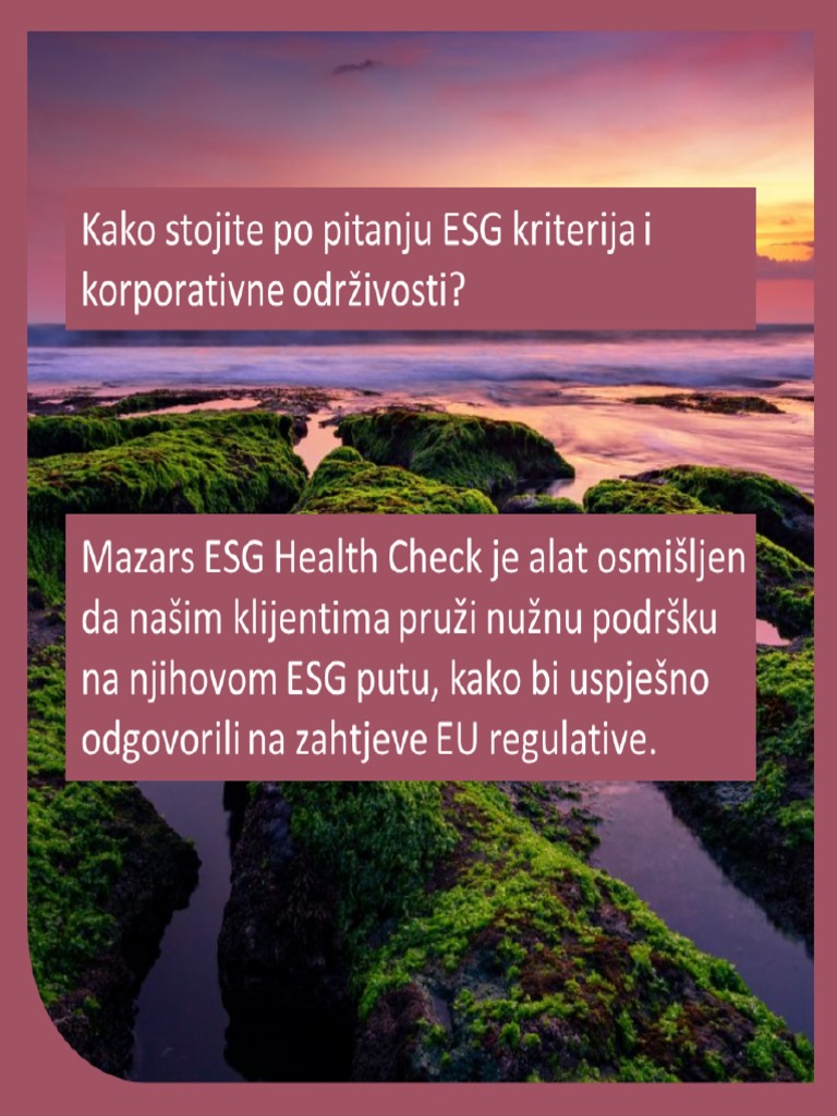 ESG Health Check | PDF