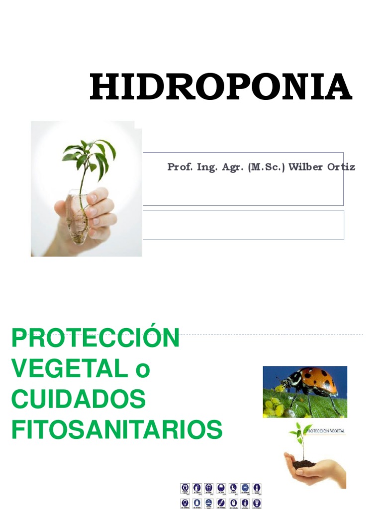 3.Plagas y Enfer | PDF | Plaga (organismo) | Molde