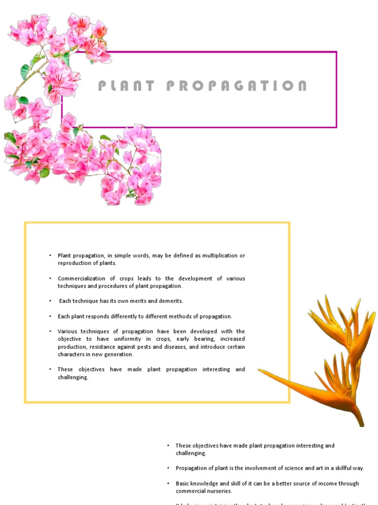 Plant Propogation | Download Free PDF | Grafting | Organisms