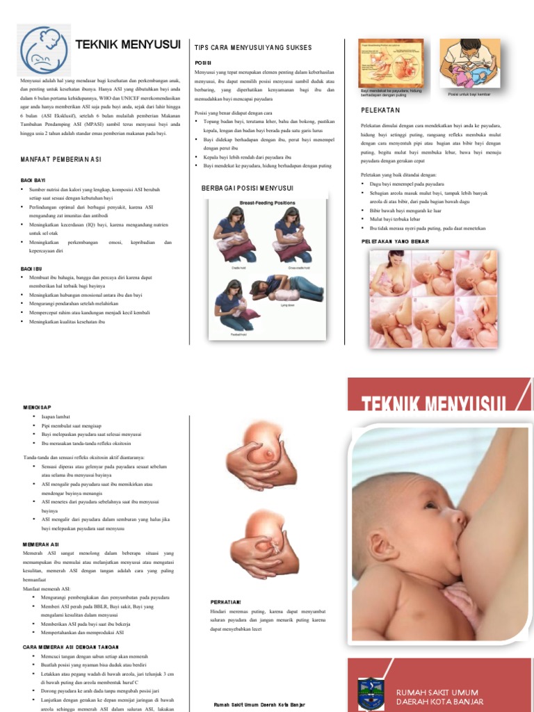 Leaflet Teknik Menyusui | PDF