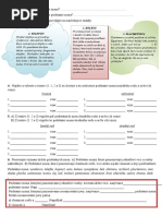 Slovesá - Tematický Test | PDF