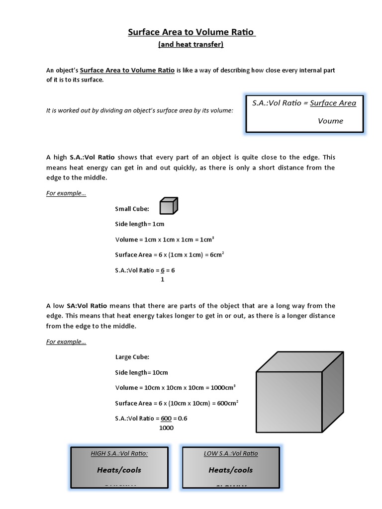 Surface Area To Volume Ratio (Worksheet) | PDF | Surface Area ...