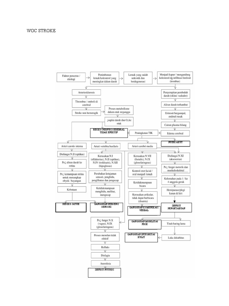 Woc Stroke | PDF