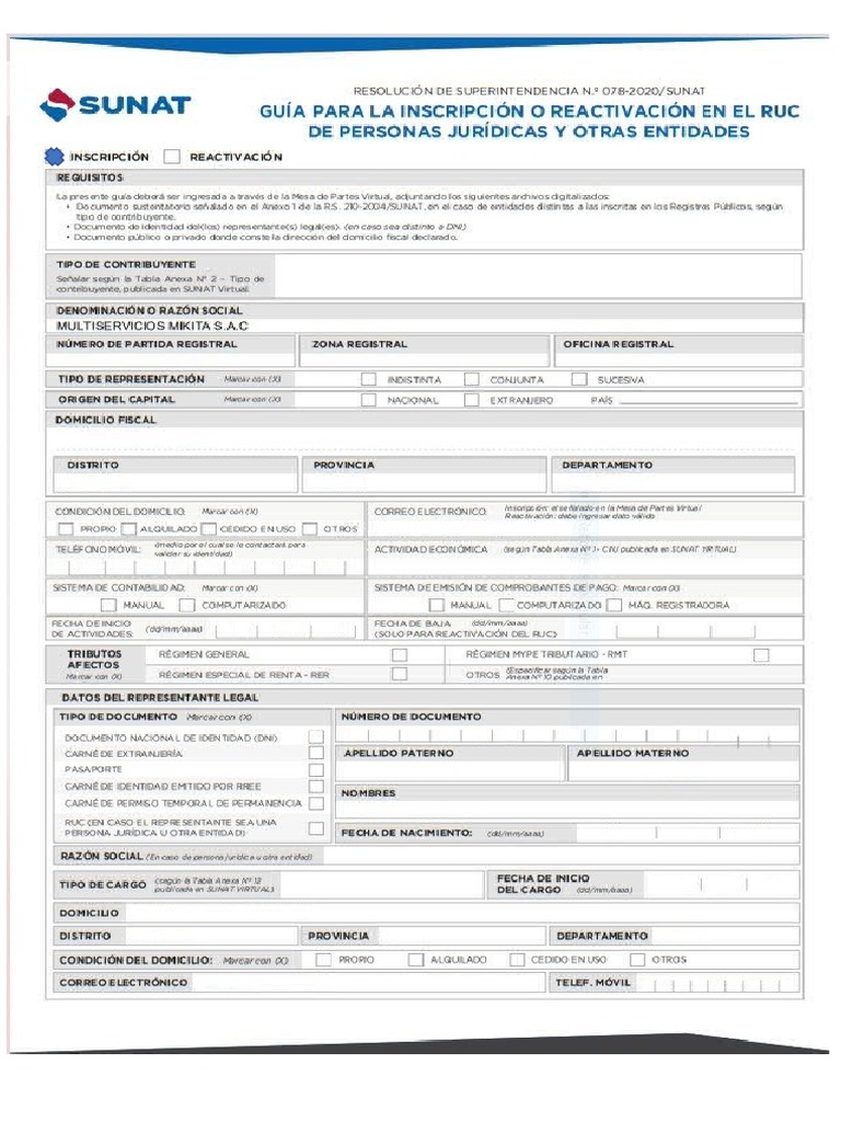 Formato Sunat Teoria Contable | PDF