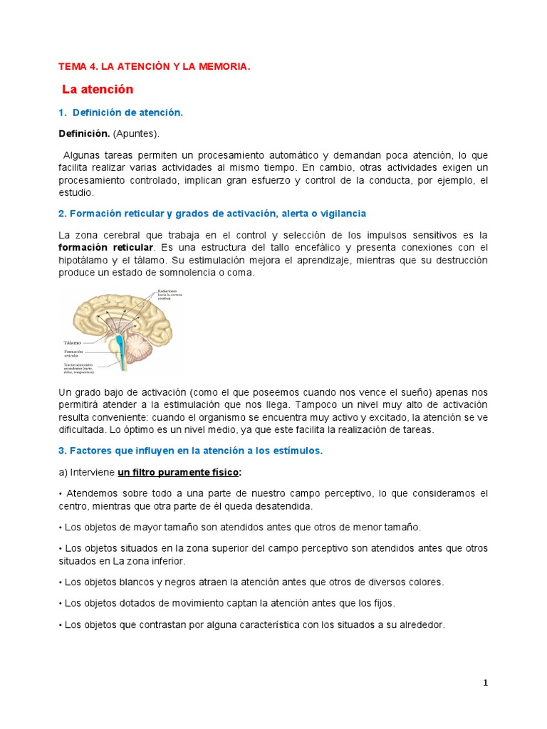 T.4 Atención y Memoria 22-23 | PDF | Memoria | Amnesia