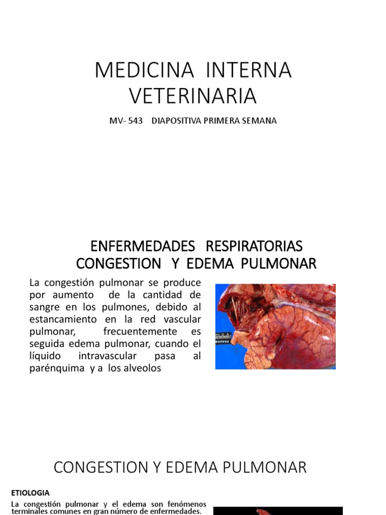 Medecina Interna Todoooooooooooooooooooooo | PDF | Neumonía | Tos