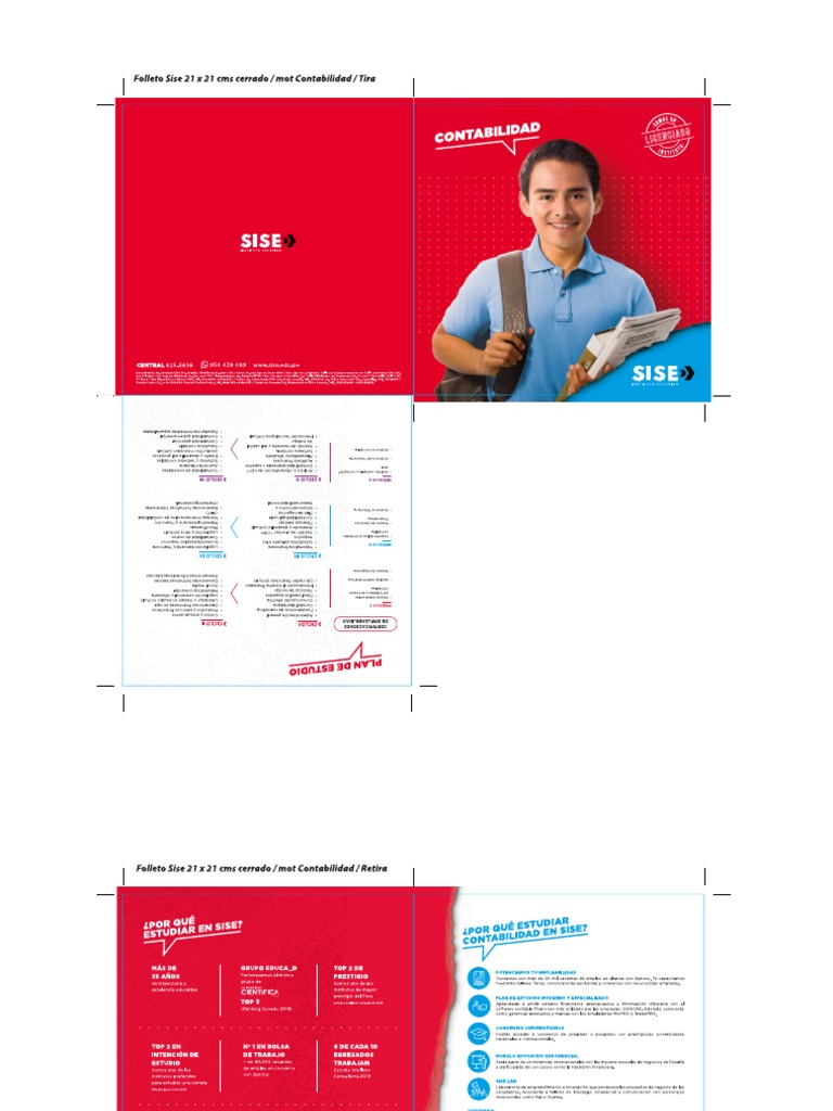 Brochure Contabilidad | PDF