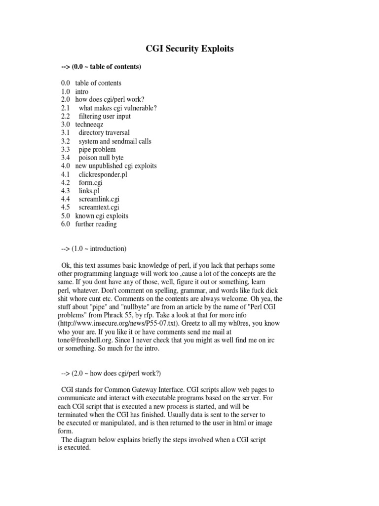 Cgi Security Exploits Pdf Software Development Computer Architecture