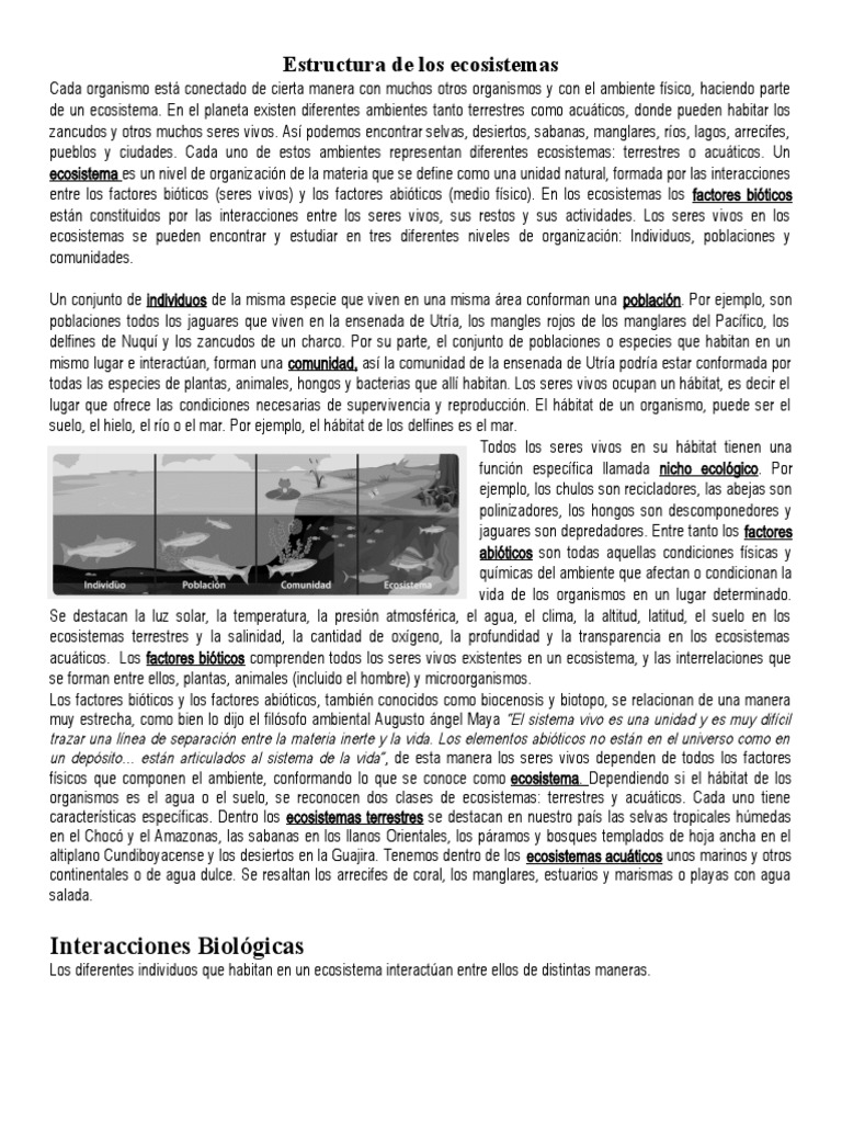 Estructura de Los Ecosistemas | PDF | Ecosistema | Entorno natural
