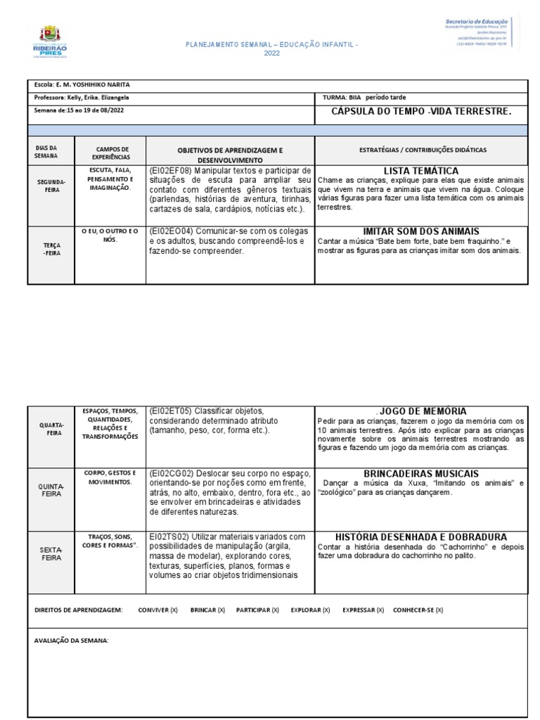 Cores e Forma | PDF | Aprendizado