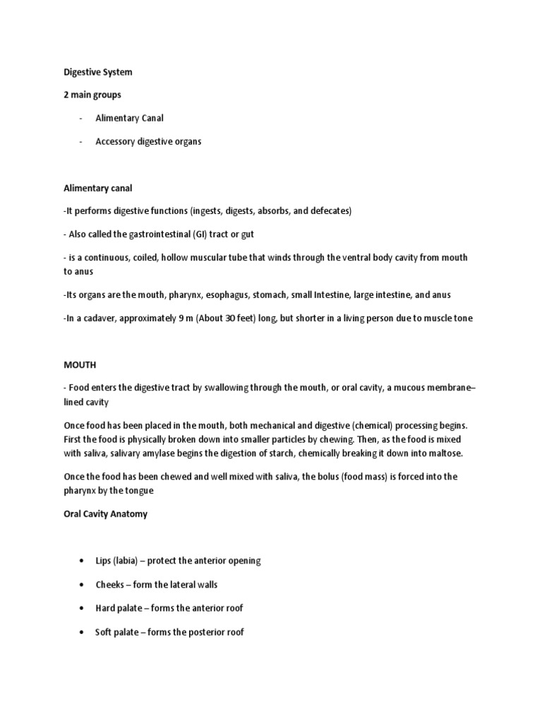 Digestive System - Lecture Guide | PDF | Stomach | Human Digestive System