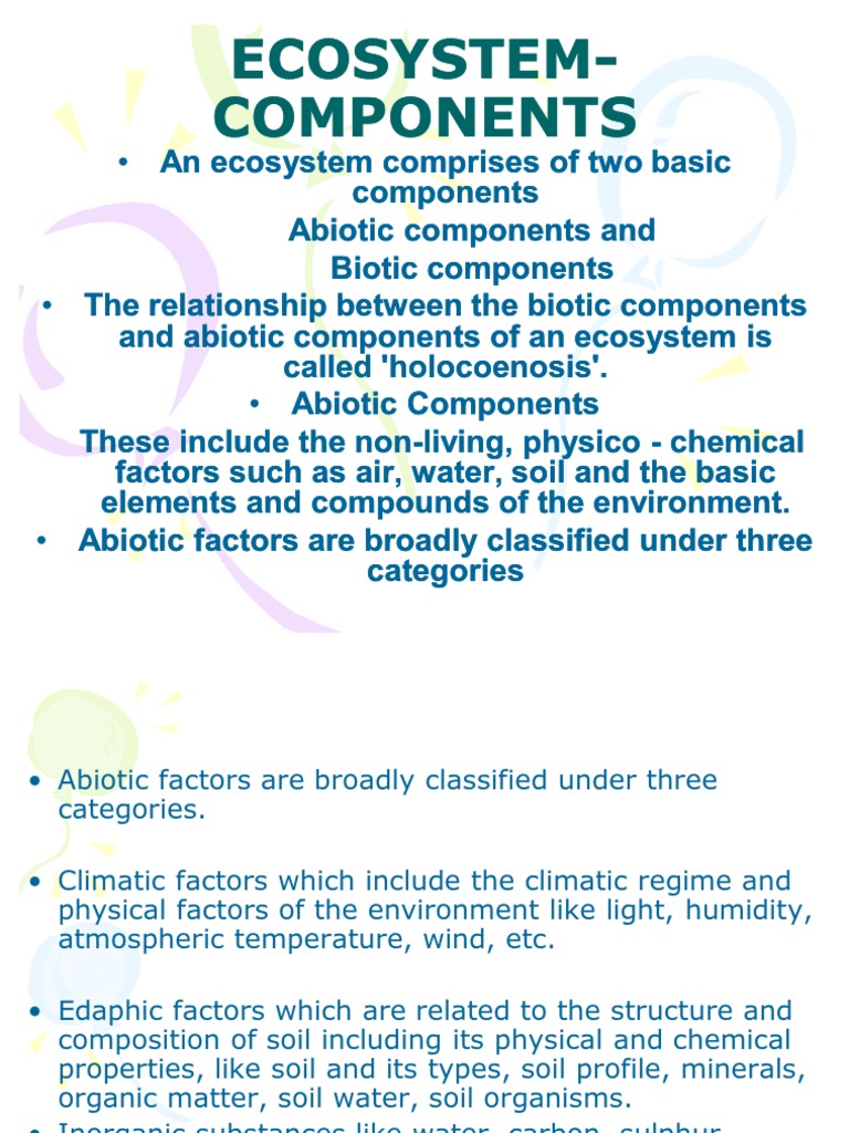 The Components, Structure, and Function of Ecosystems: An In-Depth Look ...