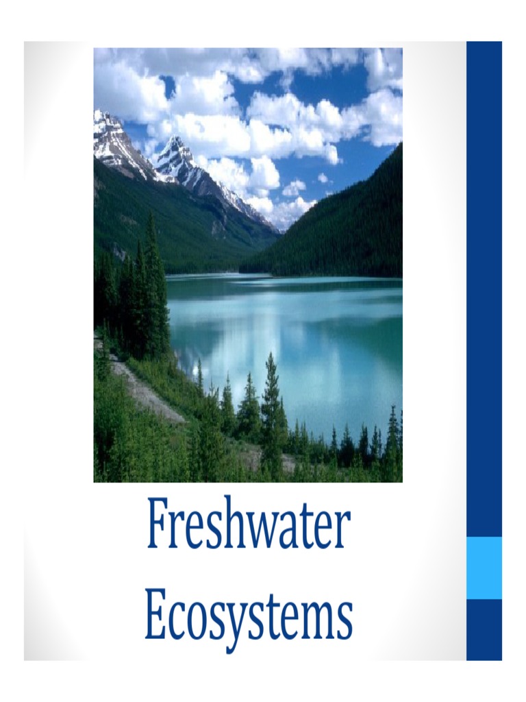 Freshwater Ecosystems Notes | PDF | Wetland | Marsh