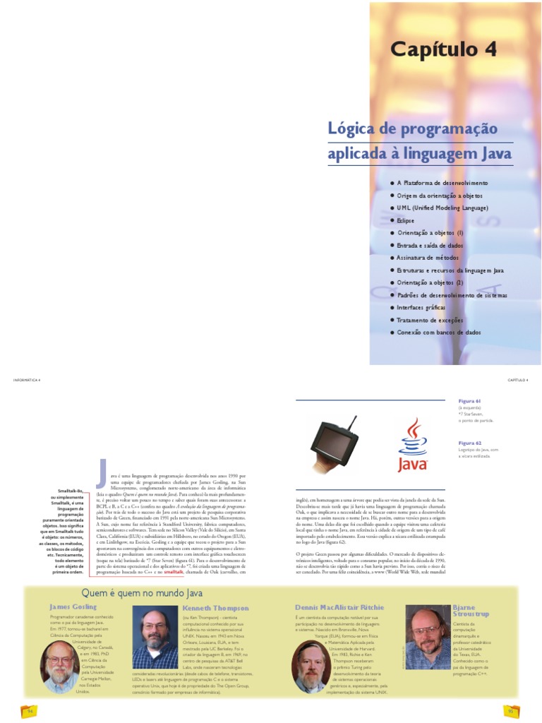 Logica de Programacao Aplicada A Linguagem Java | PDF