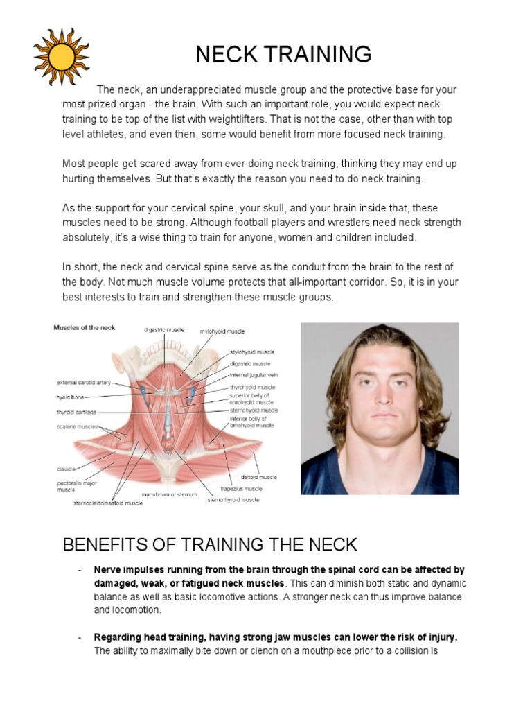 Neck Training | PDF | Anatomical Terms Of Motion | Spinal Cord