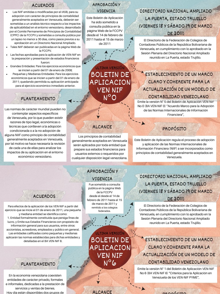 Ba Ven Nif N°0, N°06 y N°8 | PDF | normas internacionales de ...