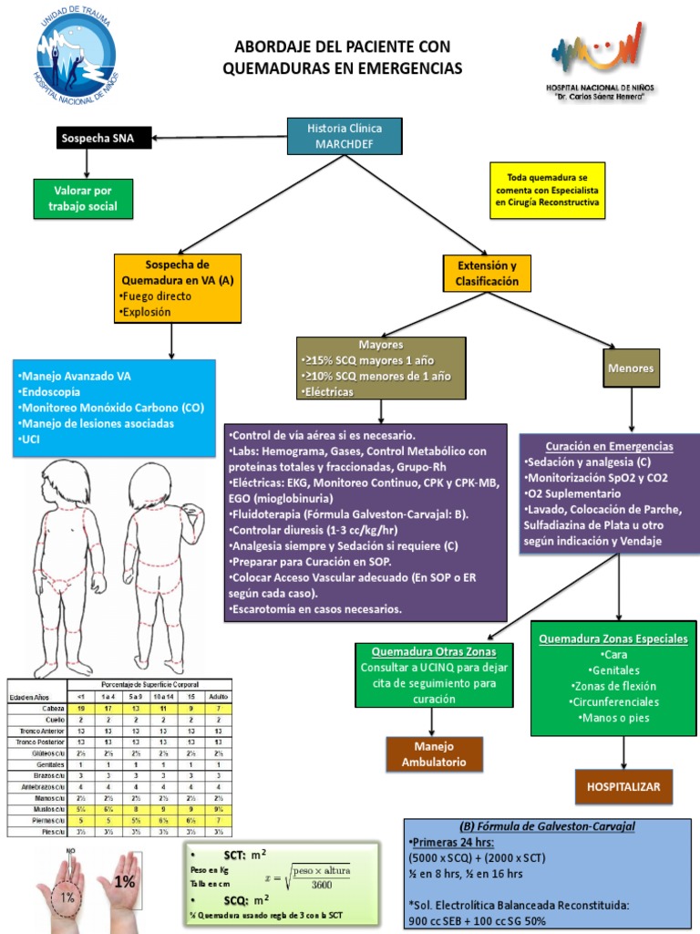 Abordaje Del Paciente Con Quemaduras | PDF | Quemar | Dolor