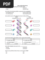 Evolution by Natural Selection WKS Lab ANSWER KEY Zu3kag | PDF ...
